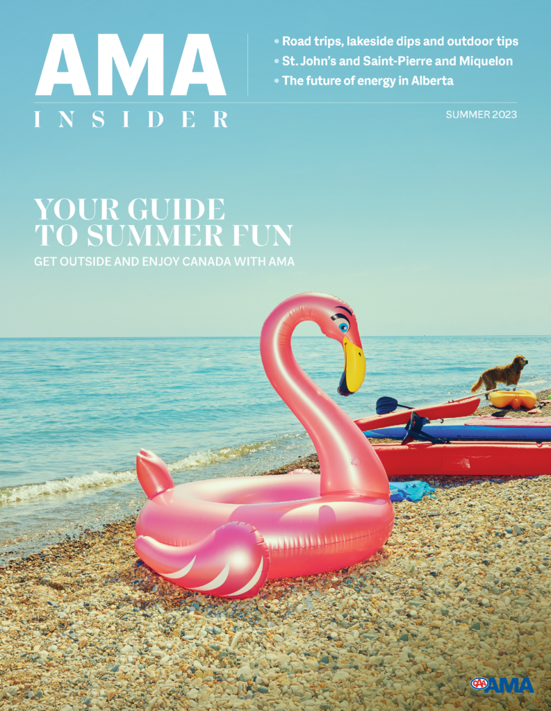 Digital Edition - AMA