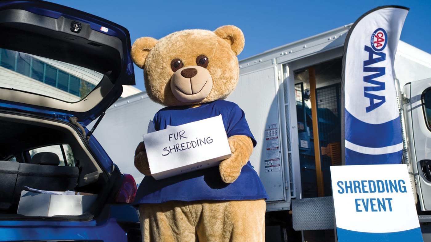 AMA-News-Shredding-Bear - AMA