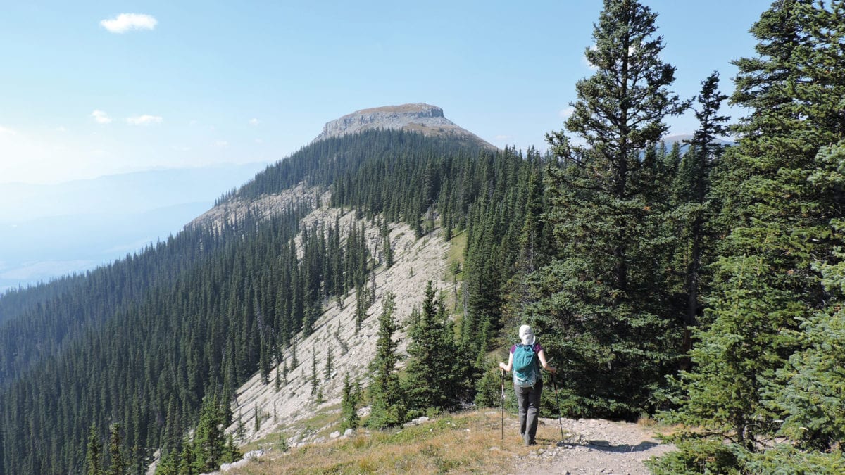 Things to Do in David Thompson Country - AMA