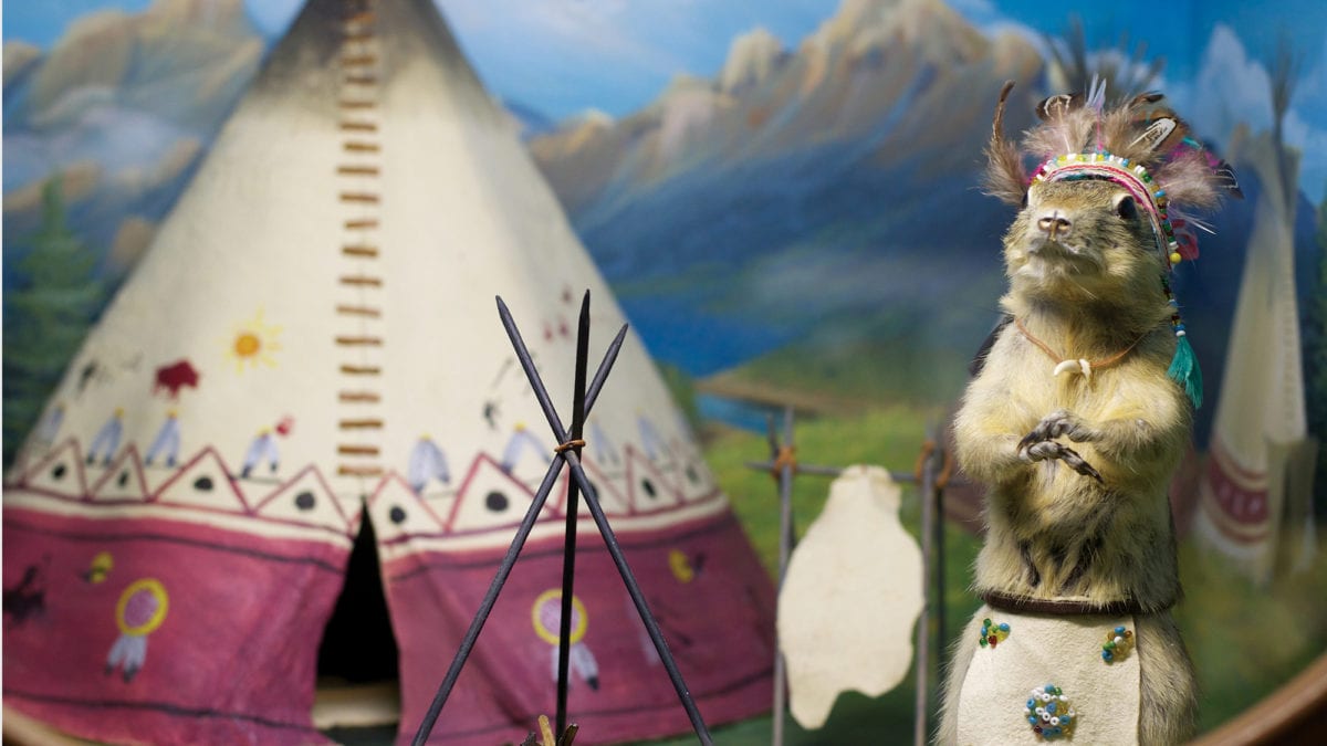 Discover 5 of the Most Unusual Museums in Canada - AMA