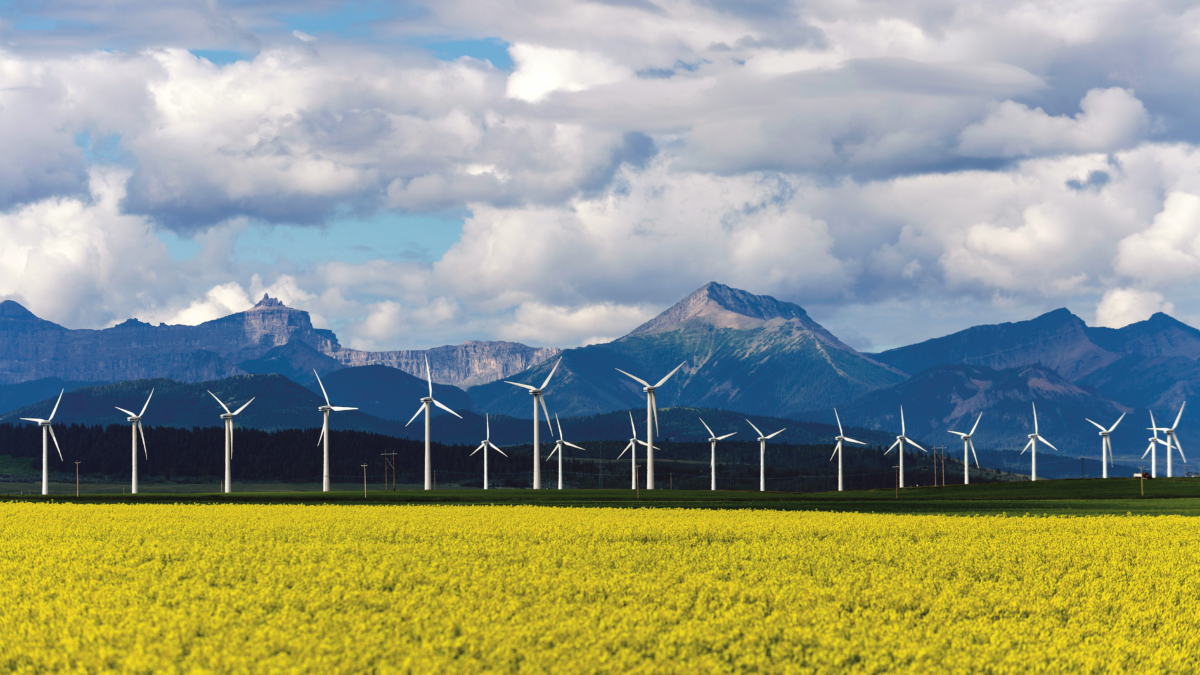 Leading the Future of Energy - AMA