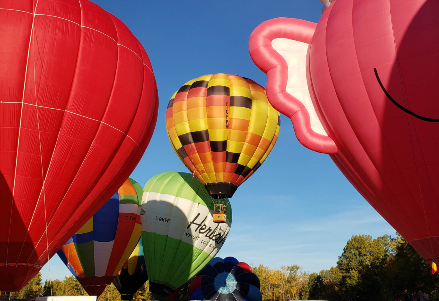 Alberta Motor Association - AMA